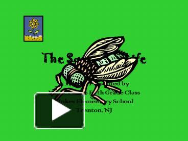 The Square of Life presentation | free to view