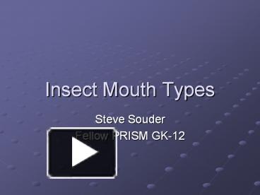 PPT – Insect Mouth Types PowerPoint presentation | free to download ...
