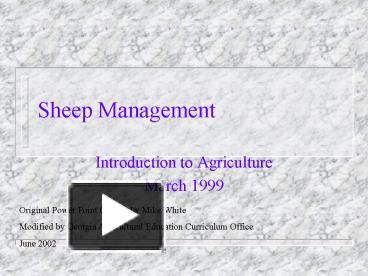 PPT – Sheep Management PowerPoint presentation | free to view - id ...