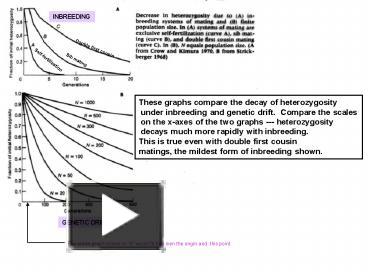 PPT – INBREEDING PowerPoint presentation | free to view - id: 1e3cb7-ZDc1Z