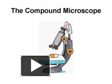 PPT – The Compound Microscope PowerPoint presentation | free to view ...