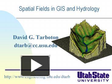 Spatial Fields in GIS and Hydrology presentation | free to download