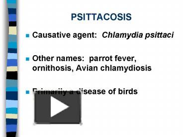 PSITTACOSIS presentation | free to view