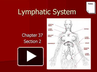 Lymphatic System presentation | free to view