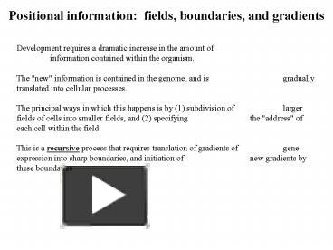 PPT – Positional information: fields, boundaries, and gradients ...