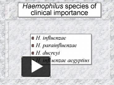 Haemophilus species of clinical importance presentation | free to view