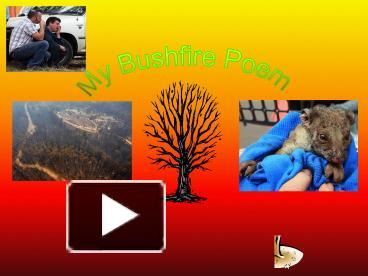 PPT – My Bushfire Poem PowerPoint presentation | free to view - id ...