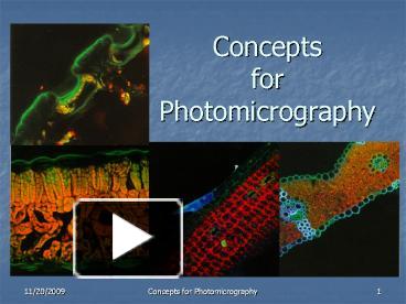 PPT – Concepts for Photomicrography PowerPoint presentation | free to ...