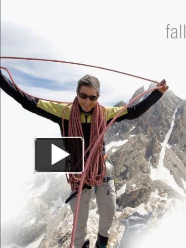 PPT – Shells PowerPoint presentation | free to download - id: 1eda71-ZGFlO