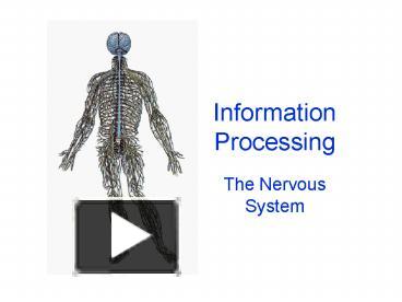 PPT – Information Processing PowerPoint presentation | free to view ...