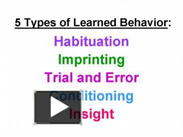 5 Types of Learned Behavior: presentation | free to view