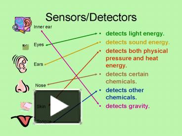 PPT – Sensors/Detectors PowerPoint presentation | free to download - id ...