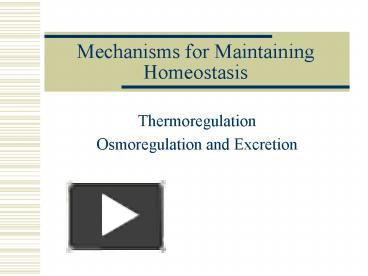 Mechanisms for Maintaining Homeostasis presentation | free to view