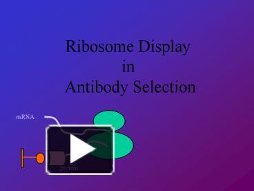 Ribosome Display presentation | free to view
