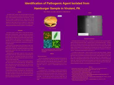 PPT – Identification of Pathogenic Agent Isolated from PowerPoint ...