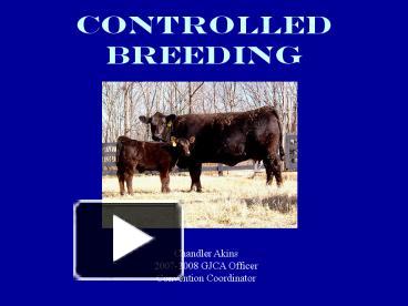 PPT – Controlled Breeding PowerPoint presentation | free to view - id ...