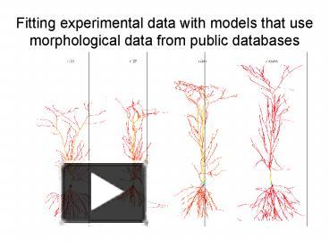 Fitting experimental data with models that use morphological data from ...