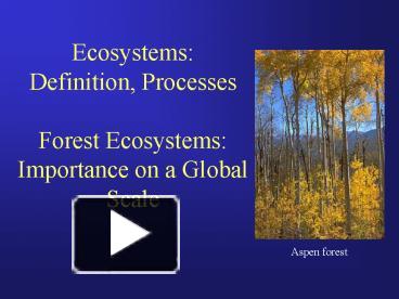 Ecosystems: Definition, Processes Forest Ecosystems: Importance on a ...