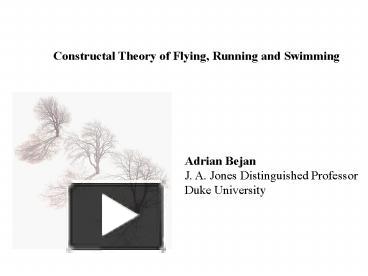 PPT – Adrian Bejan PowerPoint presentation | free to view - id: 1f7bc8 ...