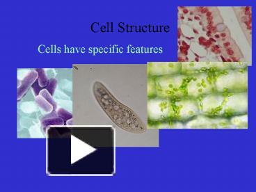 Cell Structure presentation | free to view