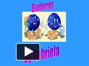 PPT – Blueberries PowerPoint presentation | free to view - id: 1f9dc6-MGYzN