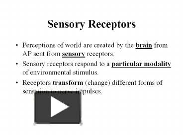 PPT – Sensory%20Receptors PowerPoint presentation | free to download ...