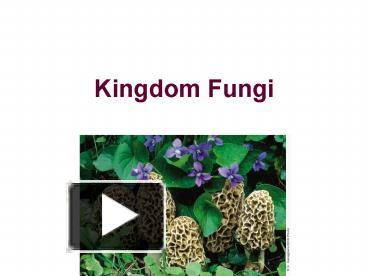 PPT – Kingdom Fungi PowerPoint presentation | free to view - id: 1faffa ...