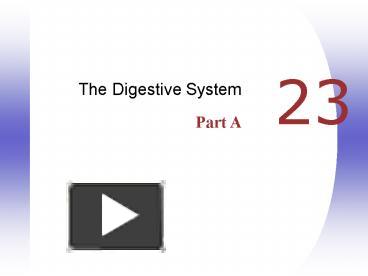 The Digestive System presentation | free to view