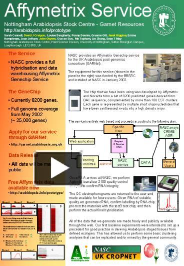 PPT – Affymetrix Service PowerPoint presentation | free to view - id ...