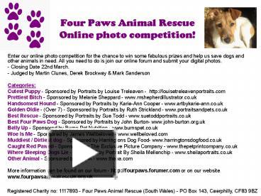 PPT – Four Paws Animal Rescue Online photo competition PowerPoint ...