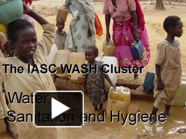 The IASC Cluster Approach presentation | free to view