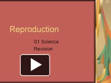 PPT – Reproduction PowerPoint presentation | free to download - id ...