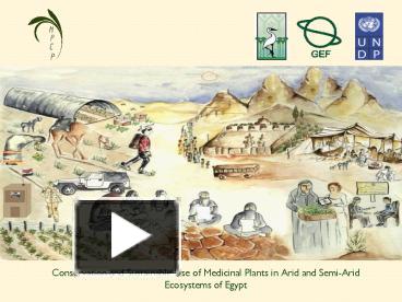 Conservation and Sustainable Use of Medicinal Plants in Arid and ...