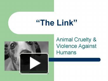 The Link presentation | free to view