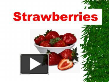 Strawberries presentation | free to view