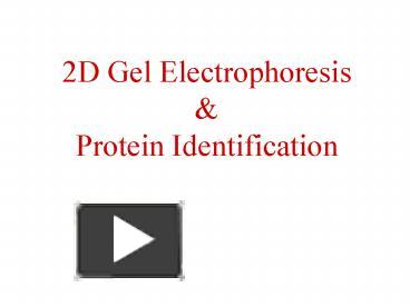 2D Gel Electrophoresis presentation | free to view