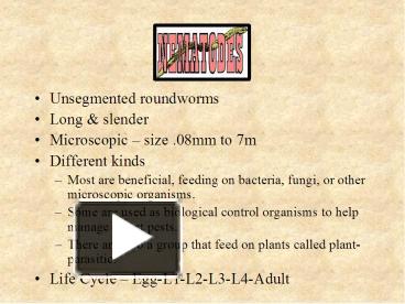PPT – Unsegmented roundworms PowerPoint presentation | free to view ...