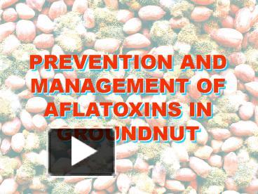 PPT – PREVENTION AND MANAGEMENT OF AFLATOXINS IN GROUNDNUT PowerPoint ...