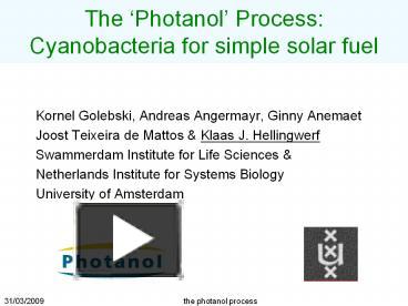 PPT – The%20 PowerPoint presentation | free to download - id: 20ccdb-ZDc1Z