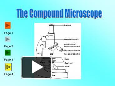 The Compound Microscope presentation | free to view