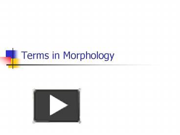 PPT – Terms in Morphology PowerPoint presentation | free to download ...