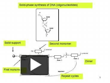 Solidphase synthesis of DNA oligonucleotides presentation | free to view