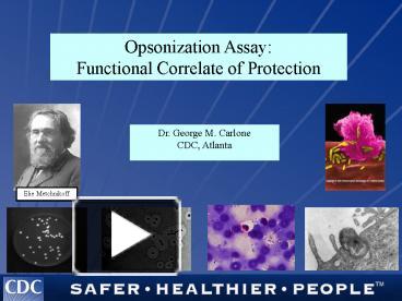PPT – Opsonization Assay: PowerPoint presentation | free to view - id ...