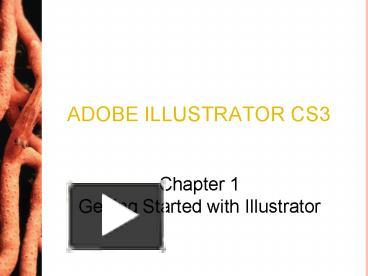 PPT – ADOBE ILLUSTRATOR CS3 PowerPoint presentation | free to view - id ...