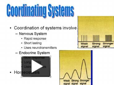 PPT – Coordination of systems involve PowerPoint presentation | free to ...