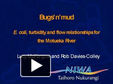 PPT – Bugs PowerPoint presentation | free to download - id: 212ace-ZDc1Z