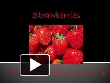 Strawberries presentation | free to view