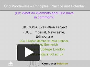PPT – (Or: What do Wombats and Grid have in common?) PowerPoint ...