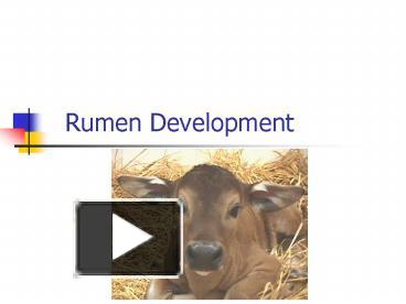 Rumen Development presentation | free to view