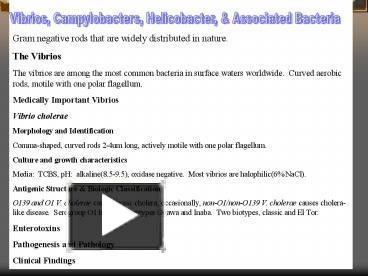 Helicobacter pylori presentation | free to view